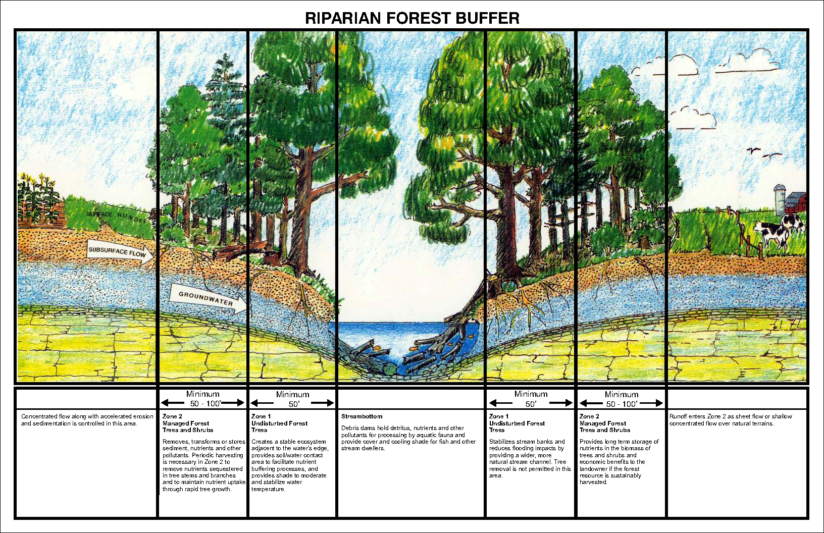 buffer zones & buffer strips – what they are and why we need them ...