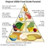 a history of the development of the food pyramid and dietary guidelines ...