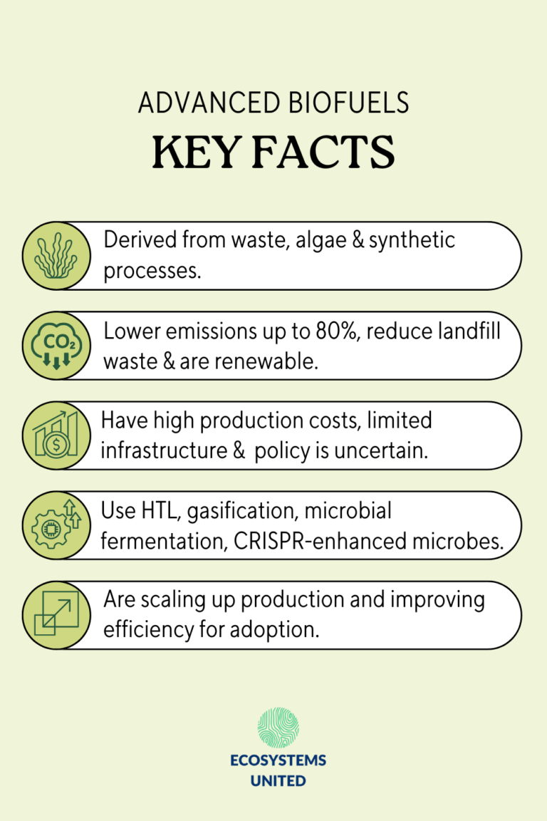 What Are Advanced Biofuels? A Look at the Next Frontier in Rewable Energy