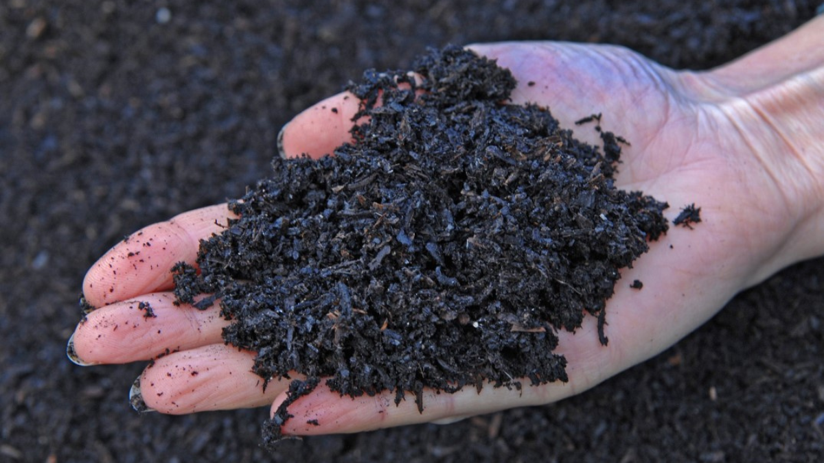 7 Breakthrough Regenerative Agricultural Practices Transformating Food ...