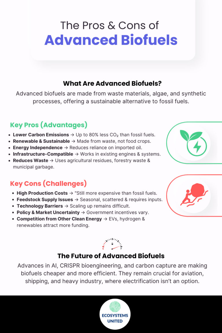 The Pros and Cons of Advanced Biofuels - A Balanced Review